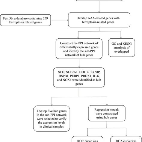 Workflow Of Data Preparation Processing Analysis And Validation Download Scientific Diagram