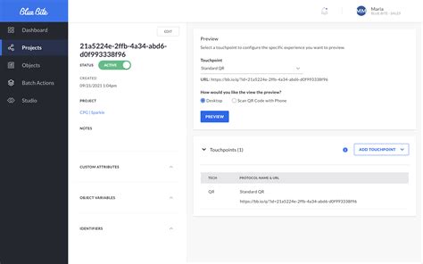 How To Create Blue Bite Objects And Generate Qr Codes