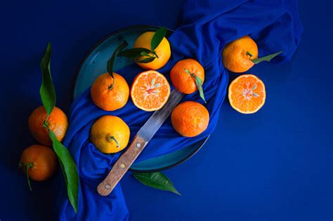 파란색 배경에 녹색 잎이 있는 잘 익은 신선한 만다린 또는 귤 오렌지의 상위 뷰 보색의 클레멘 타인 구성 0명에 대한 스톡 사진 및 기타 이미지 Istock