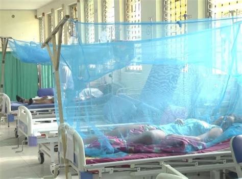 Loreto En Alerta Por Incremento De Casos De Dengue Y Reporta 7314