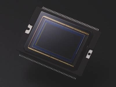 What Is Dual Pixel CMOS AF Photography Terms Explained