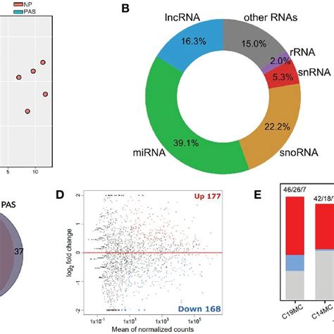 Small Rna Seq Analysis Reveals A Distinct Expression Pattern Of Mirnas Download Scientific