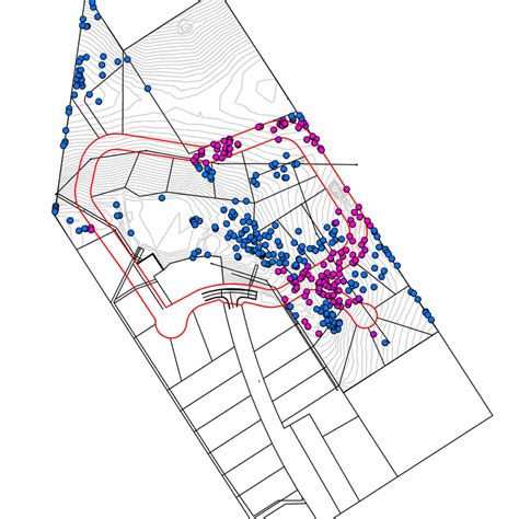 Tree Preliminary Assessment NSW Tree Survey