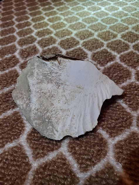 Interesting Rock With Conchoidal Fracture R Whatsthisrock