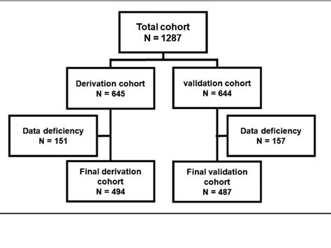 Flowchart Showing All Patients Listed In J Macs Randomly Assigned To Download Scientific