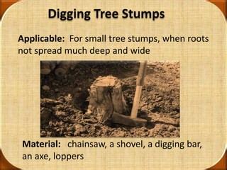 Tree Stump Removal Methods PPT