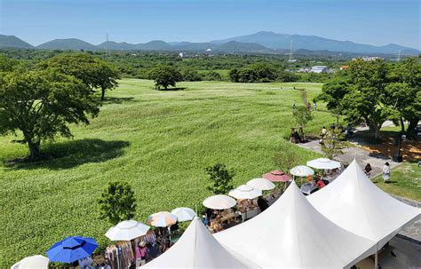 2023년 와흘리 봄 메밀문화제 6월 2일 팡파르