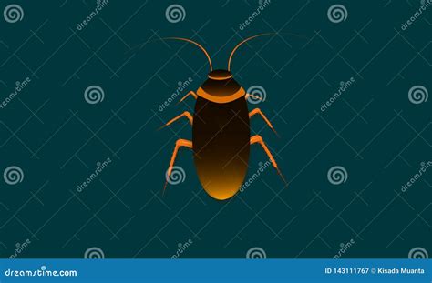 Cockroach Vector Illustration Labeled Educational Body Structure