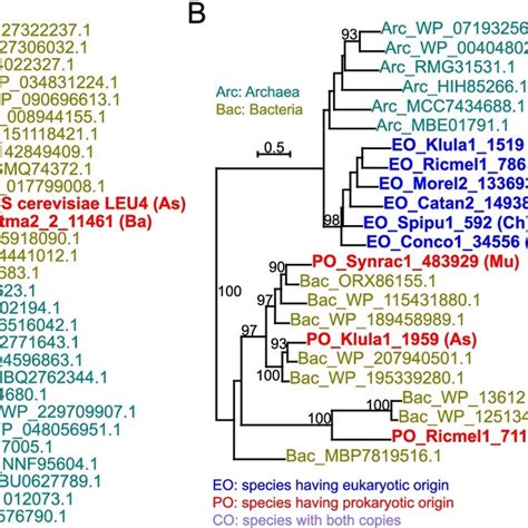 Prokaryote Derived Horizontal Gene Transfers A Phylogenetic Download Scientific Diagram