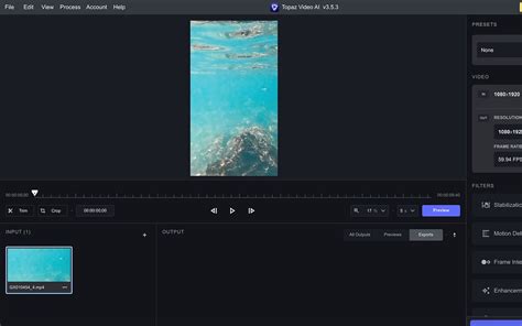 Interface Problem Bugs And Issues Topaz Community