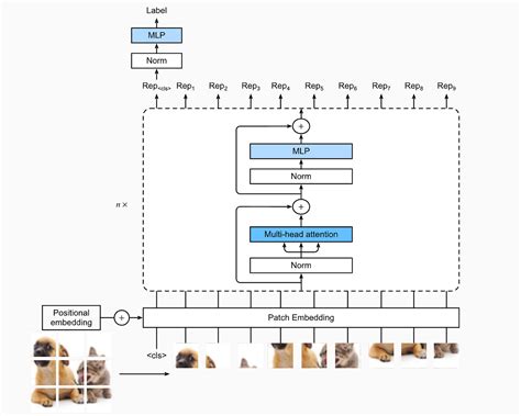 Vision Transformer Part 2 — Lets Understand The Attention By Ankit Kumar Mar 2024 Medium