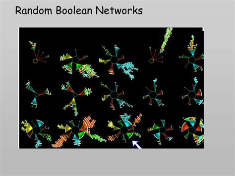 Ppt Random Boolean Networks Powerpoint Presentation Free Download Id3361122