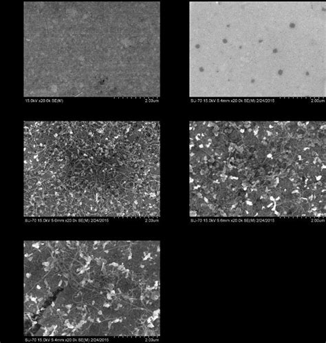 Scanning Electron Micrographs Of The Different Fabricated Electrodes