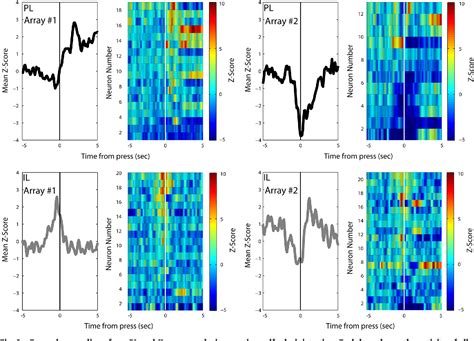 Prelimbic Cortex Semantic Scholar