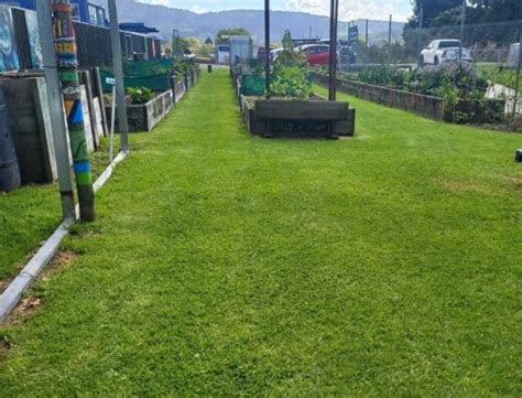 Kiwifruit Capital Of The World The Definitive Guide Te Puke Explore