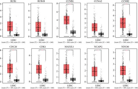 Gene Expression Analysis Based On Tcga And Gtex Data In Gepia The