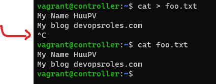 How To Use Bash Create File In Linux DevopsRoles Com Free 2025