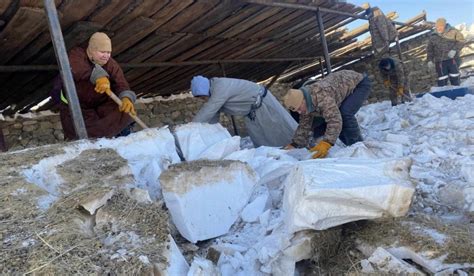 Зэвсэгт хүчнийхэн 17 аймгийн 62 суманд үүрэг гүйцэтгэж байна