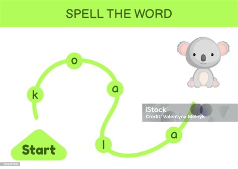 아이들을위한 미로 맞춤법 단어 게임 템플릿 코알라단어 인쇄 가능한 워크시트읽기 를 배운다 영어 공부를 위한 액티비티 페이지 어린이 발달을 위한 교육 활동 벡터 스톡