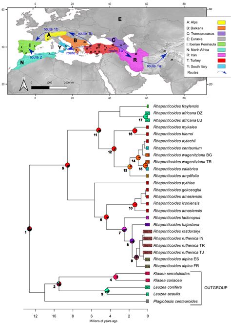 Molecular Dating And Biogeographic Analyses Maximum Clade Credibility Download Scientific