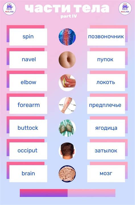 Части тела в 2024 г Уроки английского Блог учителя Английские идиомы