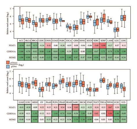 Comparisons Of Neat1 Expression Between P53 Wild Type And Mutated Download Scientific Diagram