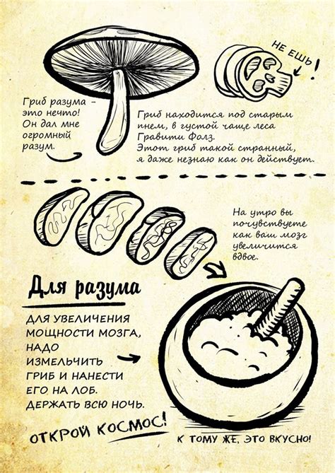 Страницы 1 дневника ВКонтакте Страницы старых книг Страницы книги Гравити фолз