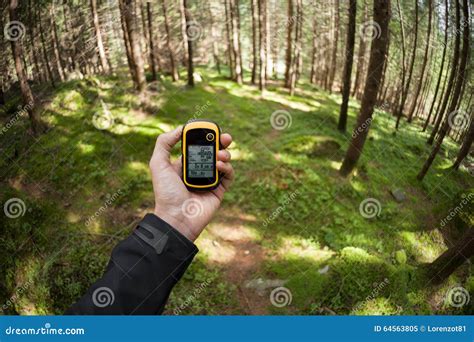 Finding The Right Position In The Forest Via Gps Stock Image Image Of Forest Positioning