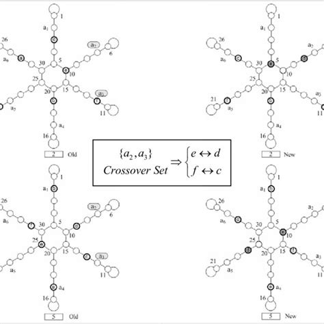 Newcrossover Operators Pseudo Code Download Scientific Diagram