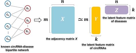 The Framework Of Matrix Factorization For Circrna Disease Association Download Scientific