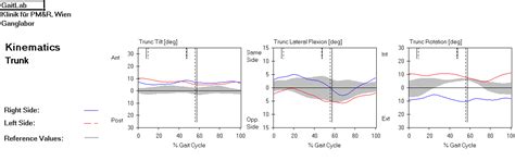 Clinical Gait Analysis