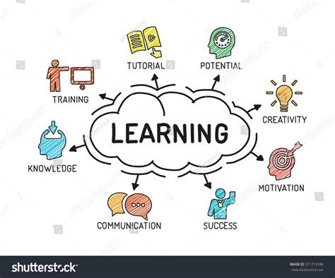 Learning Chart Keywords Icons Sketch Stock Vector Royalty Free 371713186 Shutterstock