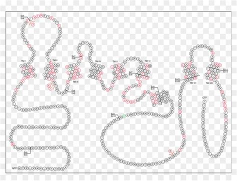 Schematic Representation Of Ps1 The Most Frequently Art Hd Png Download 850x610 5964983