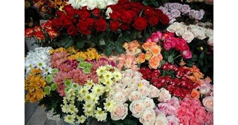 Отбелязваме Международния ден на жената