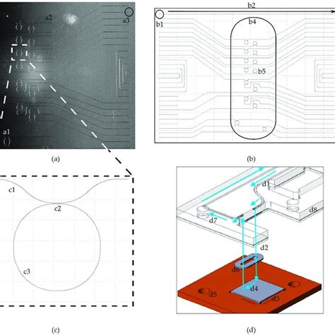 Design Of The Photonic Sensor A Microscope Image Of A Part Of The Download Scientific