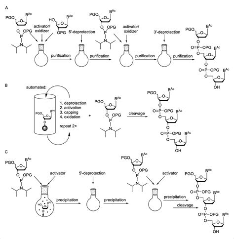 Figure 1 From Preparation Of Trinucleotide Phosphoramidites As Synthons For The Synthesis Of
