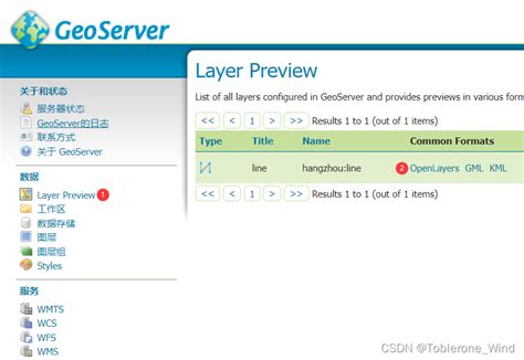 Geoserver发布矢量地图服务geoserver 本机srs Csdn博客