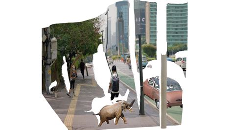 Depth Aware Object Insertion In Videos Using Python Openteams