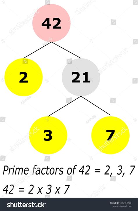 Prime Factorization Showing Factor Tree 42 Stock Vector Royalty Free