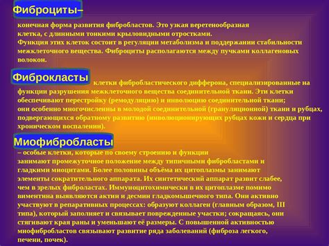 Соединительные ткани Online Presentation