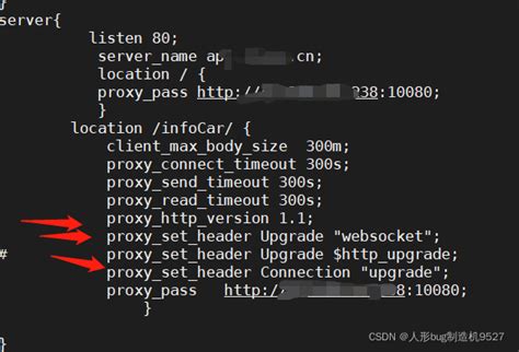 关于使用nginx反向代理websocket遇到的一些坑nginx Websocket Csdn博客