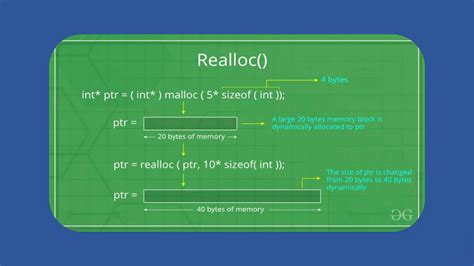 Ctsd 2 Presentation About Dynamic Memory Allocationpptx