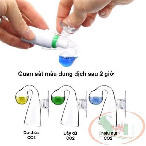 Mua Dụng Cụ Test Co2 Thủy Tinh Kiểm Theo Dõi Nồng Độ Co2 Trong Bể Giá Rẻ Nhất Tecki Vn