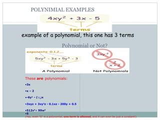 Ppt On Polynomial PPT