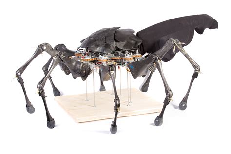 Robots Autonomous Systems Lab Eth Zurich