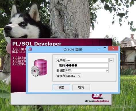 Oracle之plsqlplsql Developer安装、注册、汉化 Yellowcong13338545的技术博客51cto博客