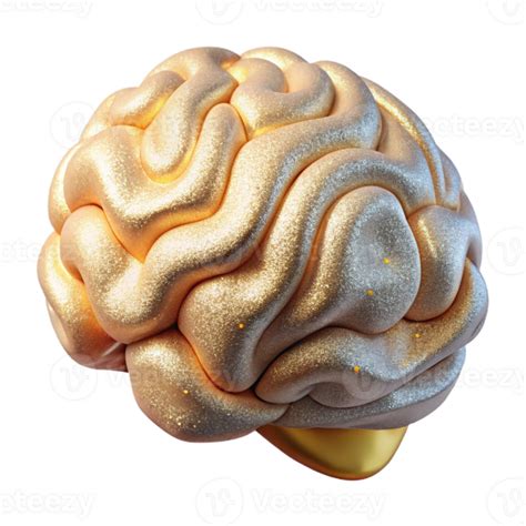 Vibrant Artistic Detailed Brain Structure Diagram Cutout For