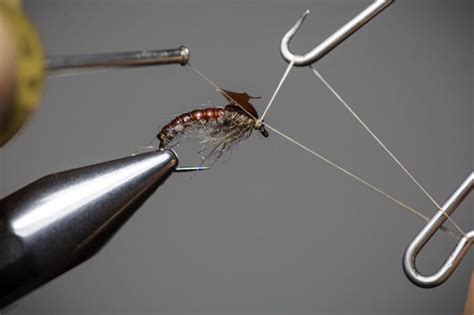 How To Tie A Caddis Nymph Step By Step With Video Into Fly Fishing