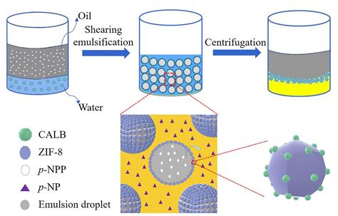 High Interfacial Tension At Makayla Moffatt Blog
