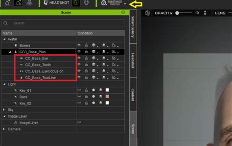 Cc3 Base Body And Head Not In Appearing Scene Manager For Substance Export